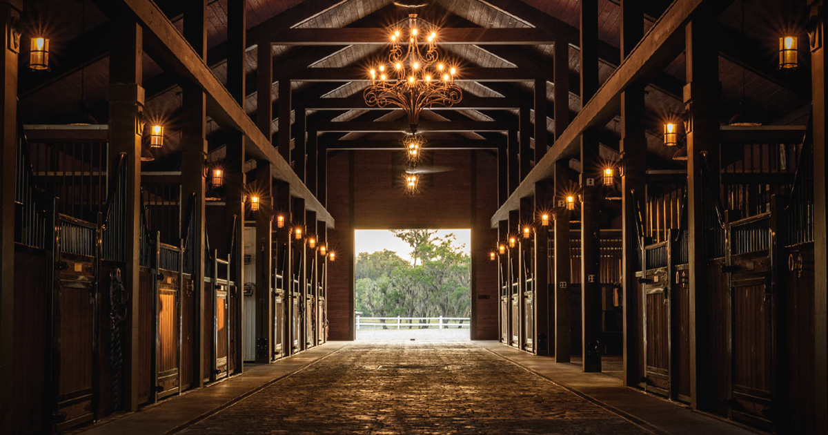 Large Horse Stall Designs Couple Harness Charm Of A Horse Barn To